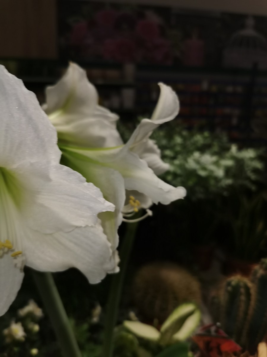 UHC UCard Hub. – 125811's Blog