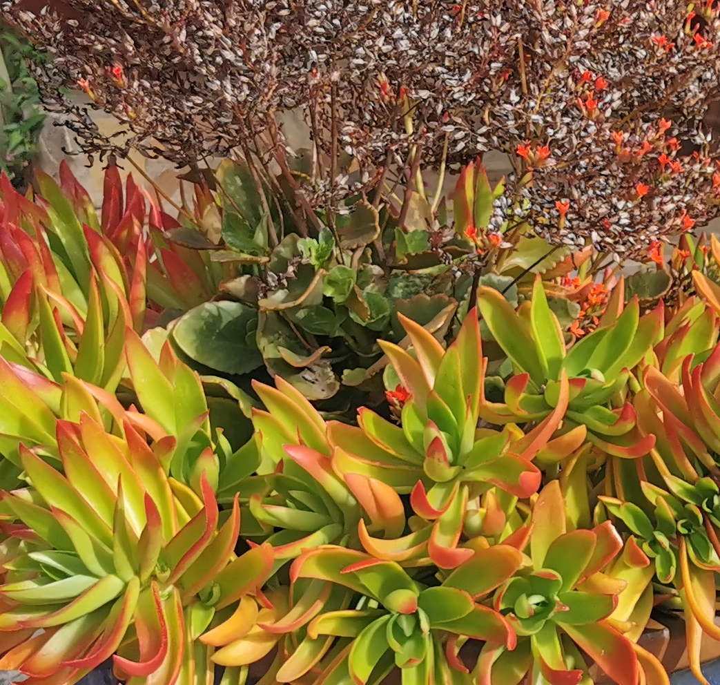 Virtual Wargames Connectivity 20251227. – 125811's Blog