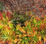 Virtual Wargames Connectivity 20251227. – 125811's Blog