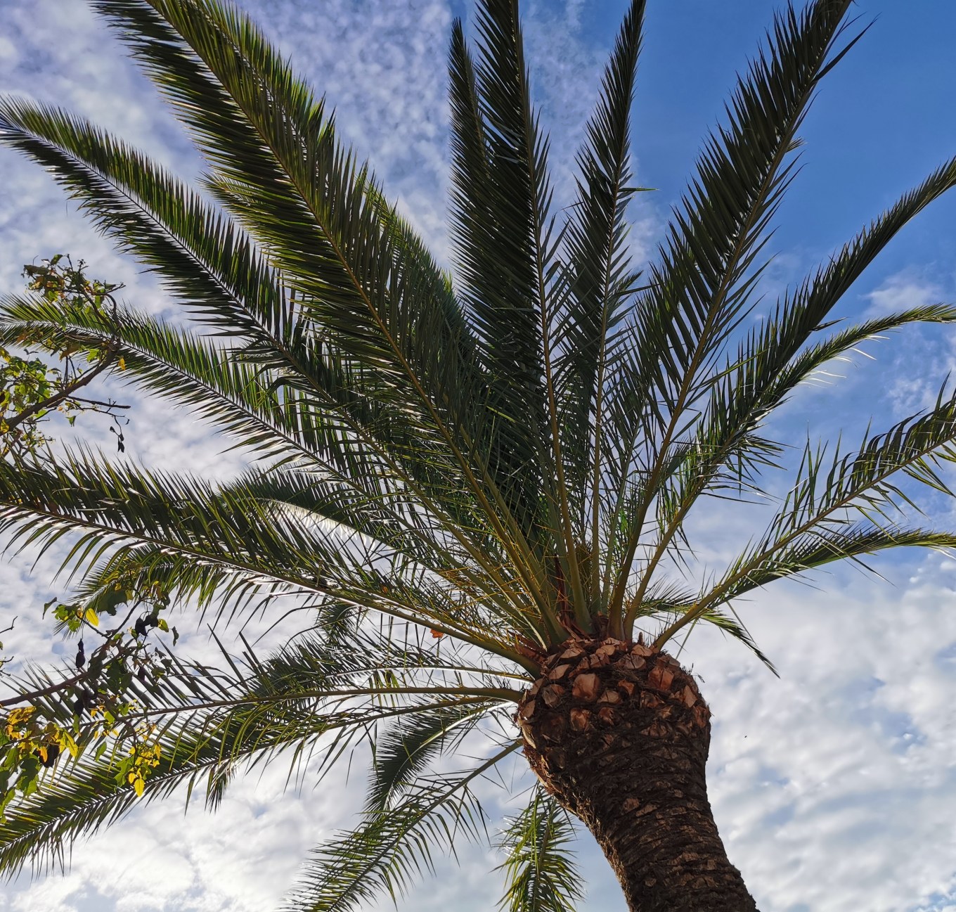 Virtual Wargames Connectivity 20251229. – 125811's Blog