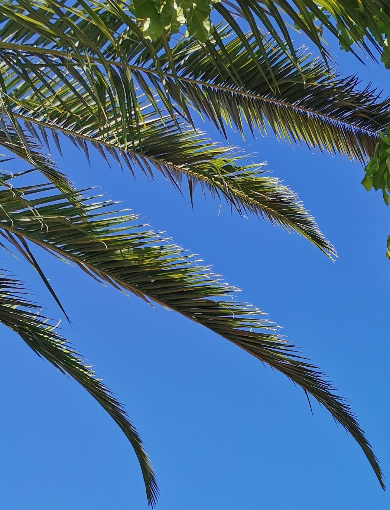 Virtual Wargames Connectivity 20260112. – 125811's Blog